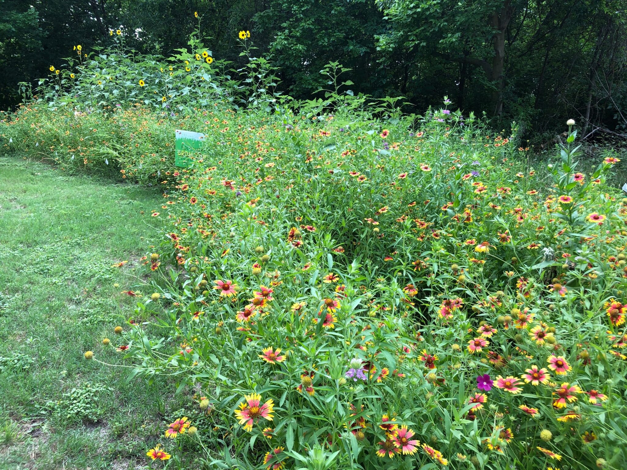 Native Plant Sites in North Texas - Native Plant Society of Texas