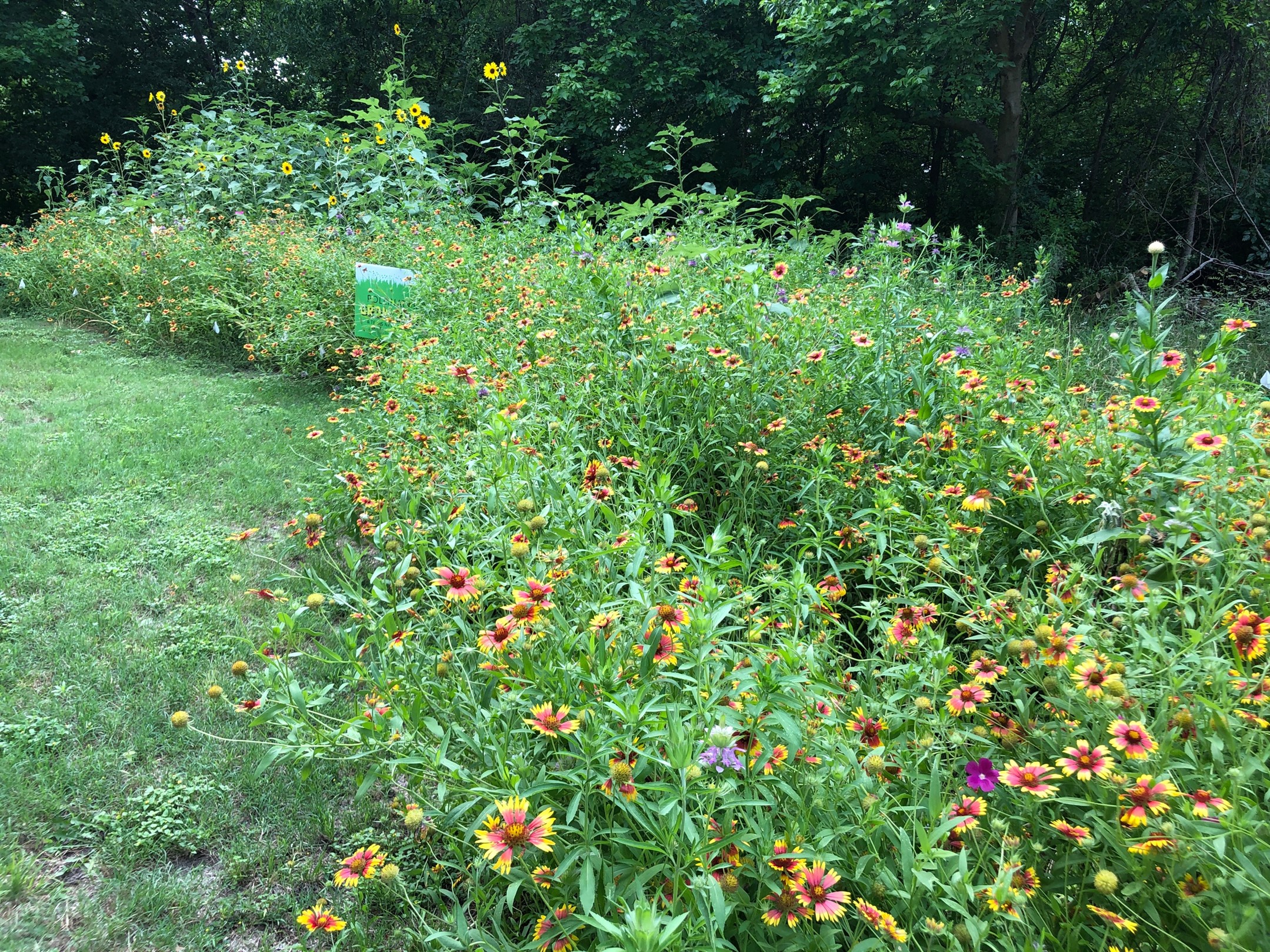 Fort Worth Zoo Pollinator Garden - Native Plant Society of Texas
