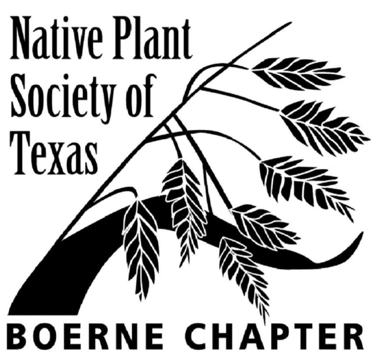 The Story of the NPSOT Boerne Chapter: A Native Plant Tale with Strong ...