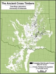 Plants for the Cross Timbers Ecoregion - Native Plant Society of Texas