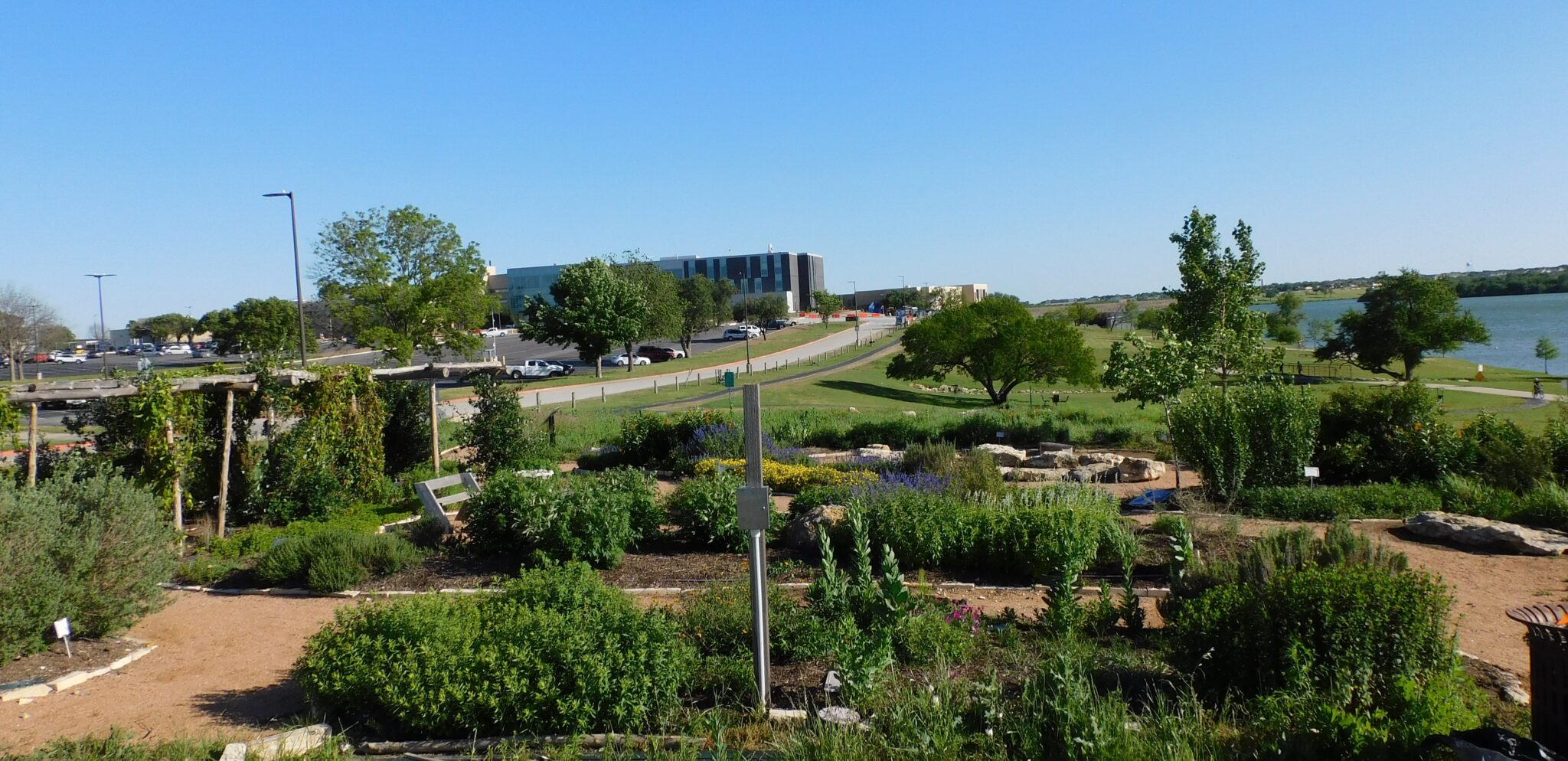 Native Plant Sites in North Texas - Native Plant Society of Texas