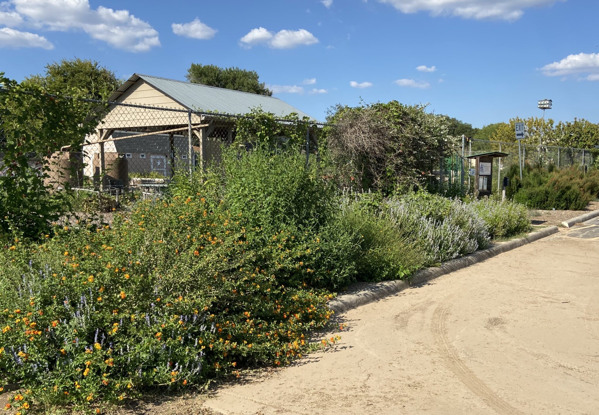 Local Demonstration Gardens - Native Plant Society of Texas