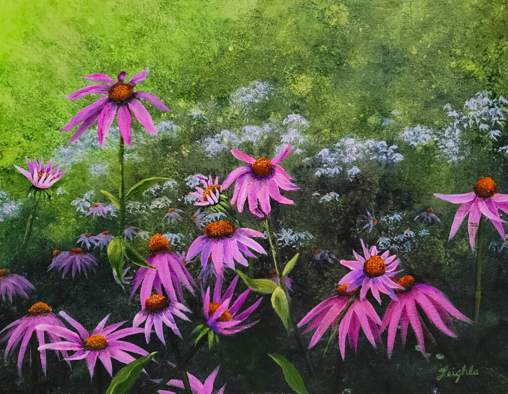 North Central Chapter - Native Plant Society of Texas