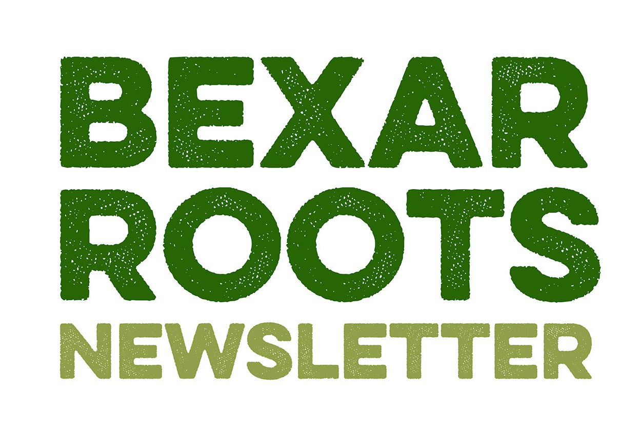 Welcome to the San Antonio Chapter (NPSOT-SA) - Native Plant Society of ...