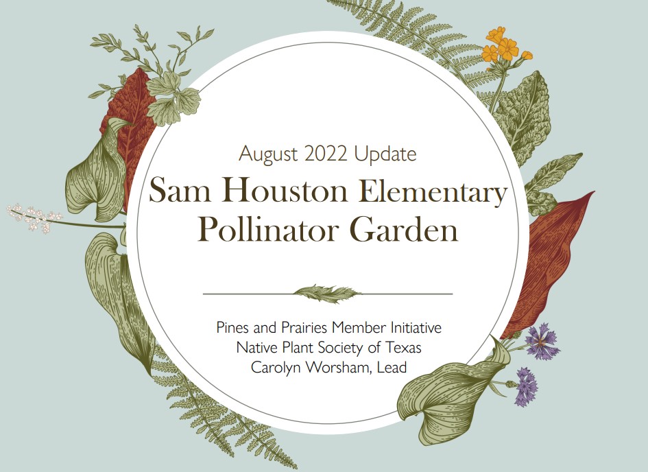Programs and Opportunities - Native Plant Society of Texas