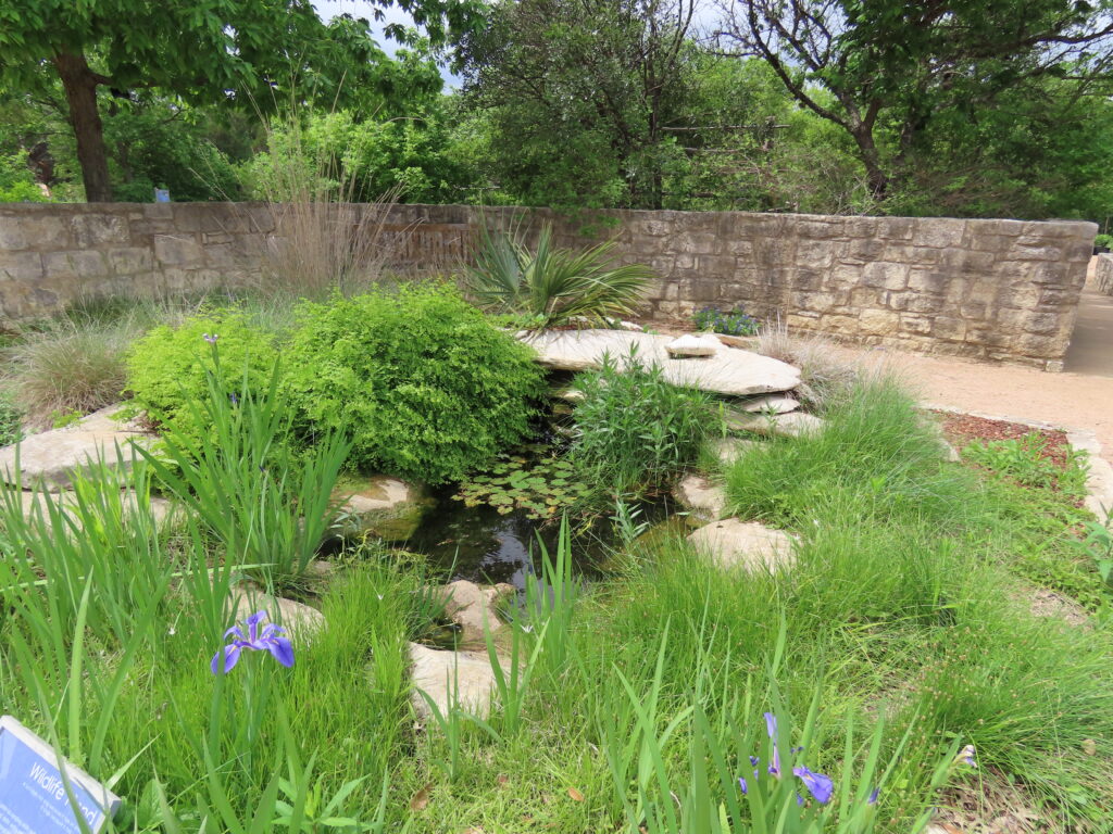 Why Native Plants? - Native Plant Society of Texas