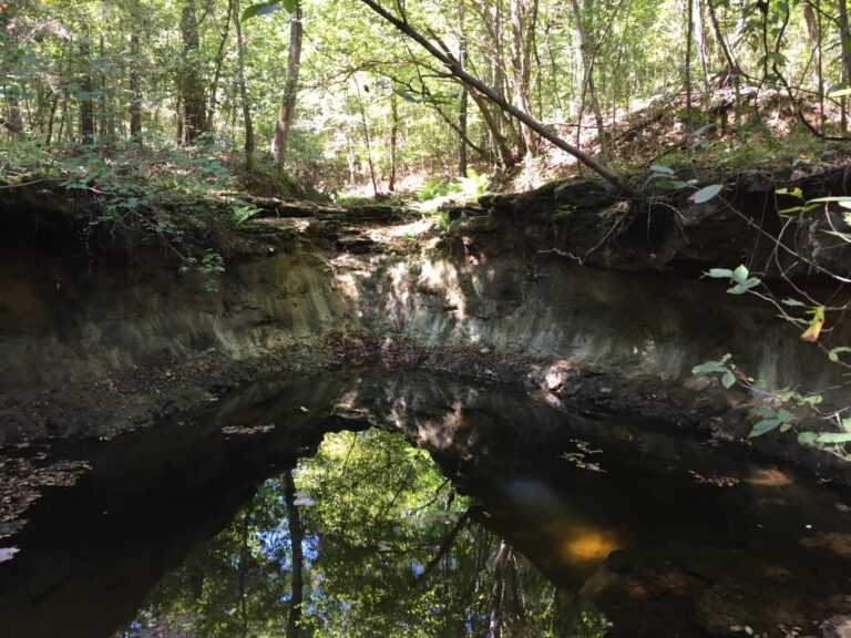 2023 Fall Symposium - Native Plant Society of Texas