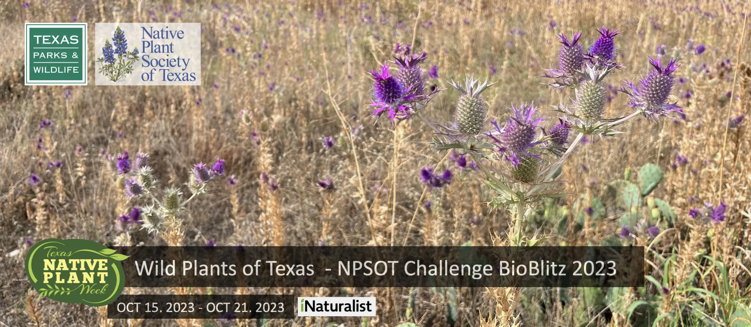 Texas Native Plant Week - Native Plant Society of Texas