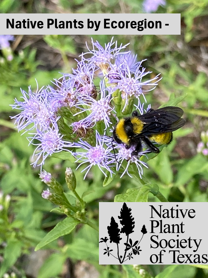 News and Events - Native Plant Society of Texas