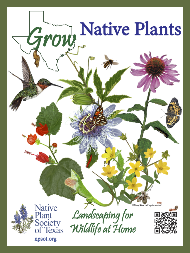 Shop - Native Plant Society of Texas