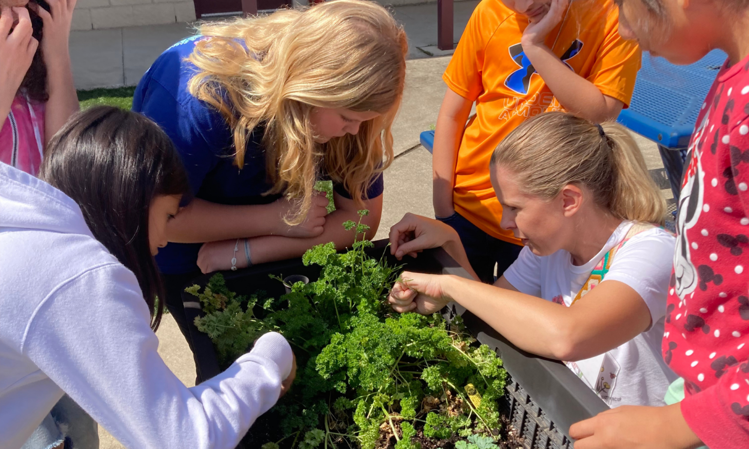 Native Plants in Schools - Native Plant Society of Texas