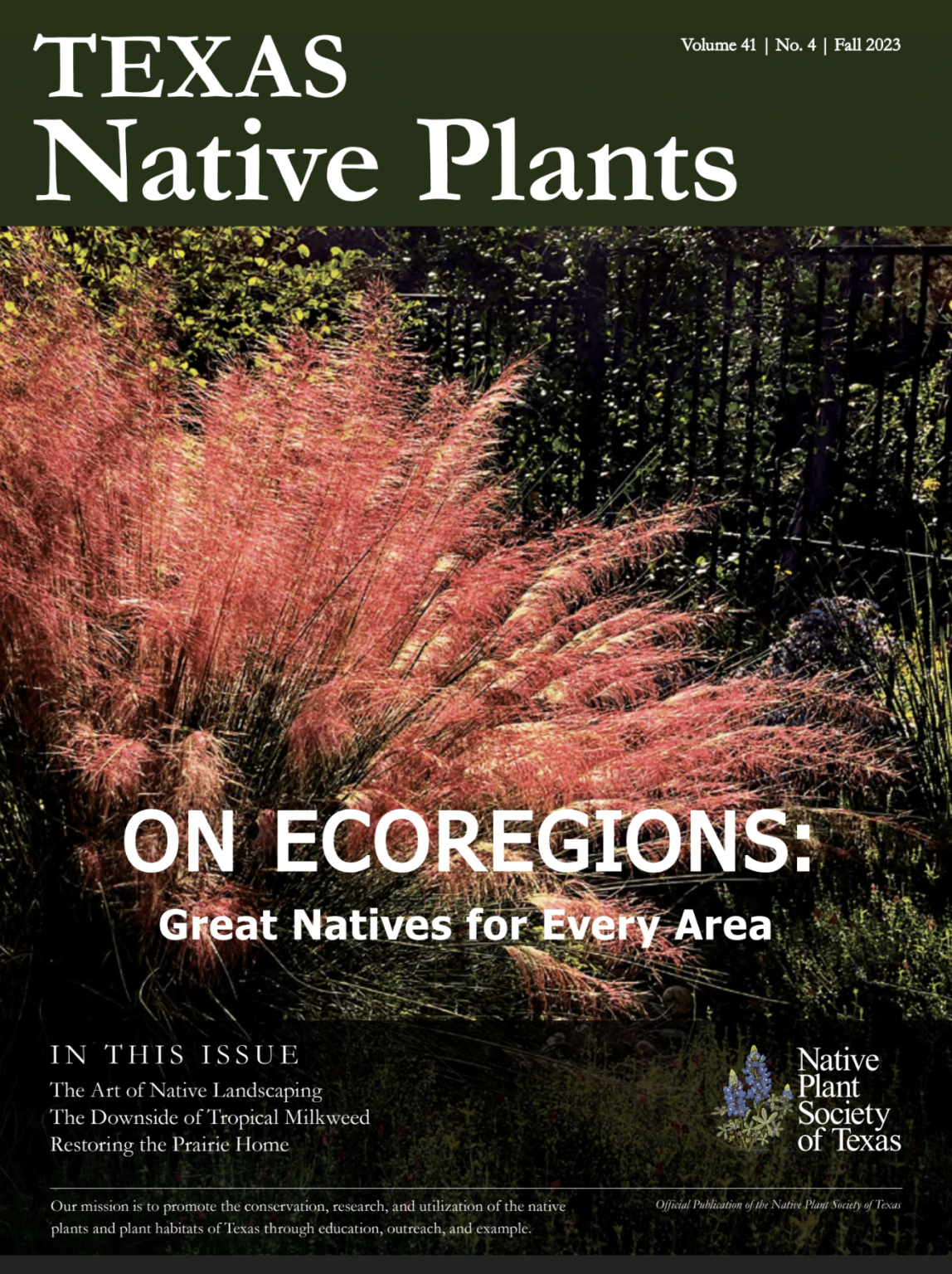 Invasives: Choose Native over Tropical Milkweed - Native Plant Society ...