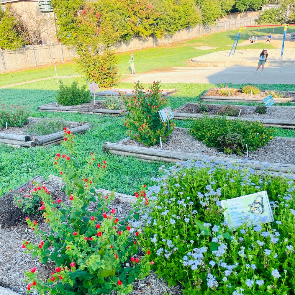 School Garden Examples - Native Plant Society of Texas