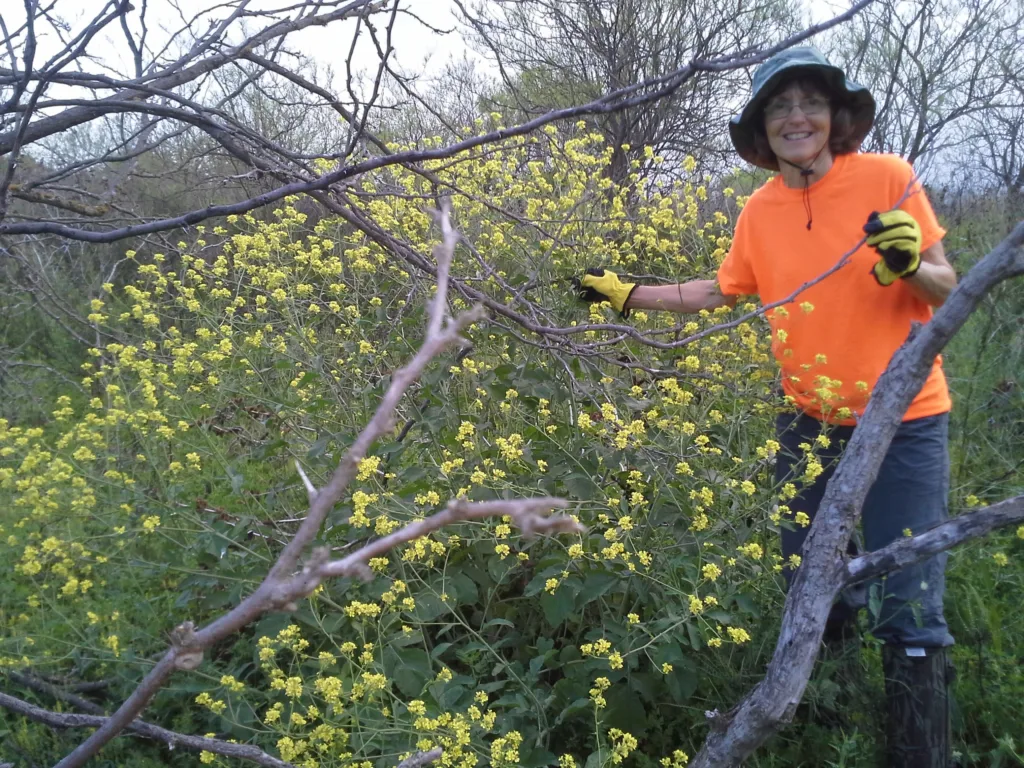 March 26 "Invasive Non-Native Plants - and How to Get Rid of Them ...
