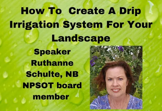 How To Create a Drip Irrigation System for Your Landscape - Native ...