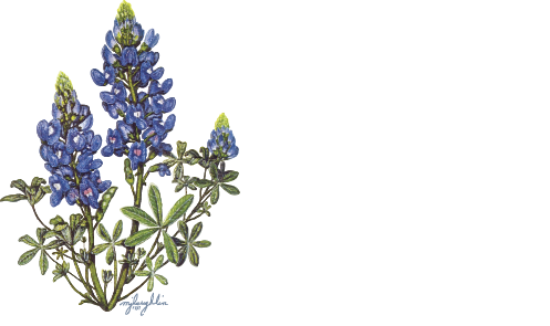 Membership - Native Plant Society of Texas